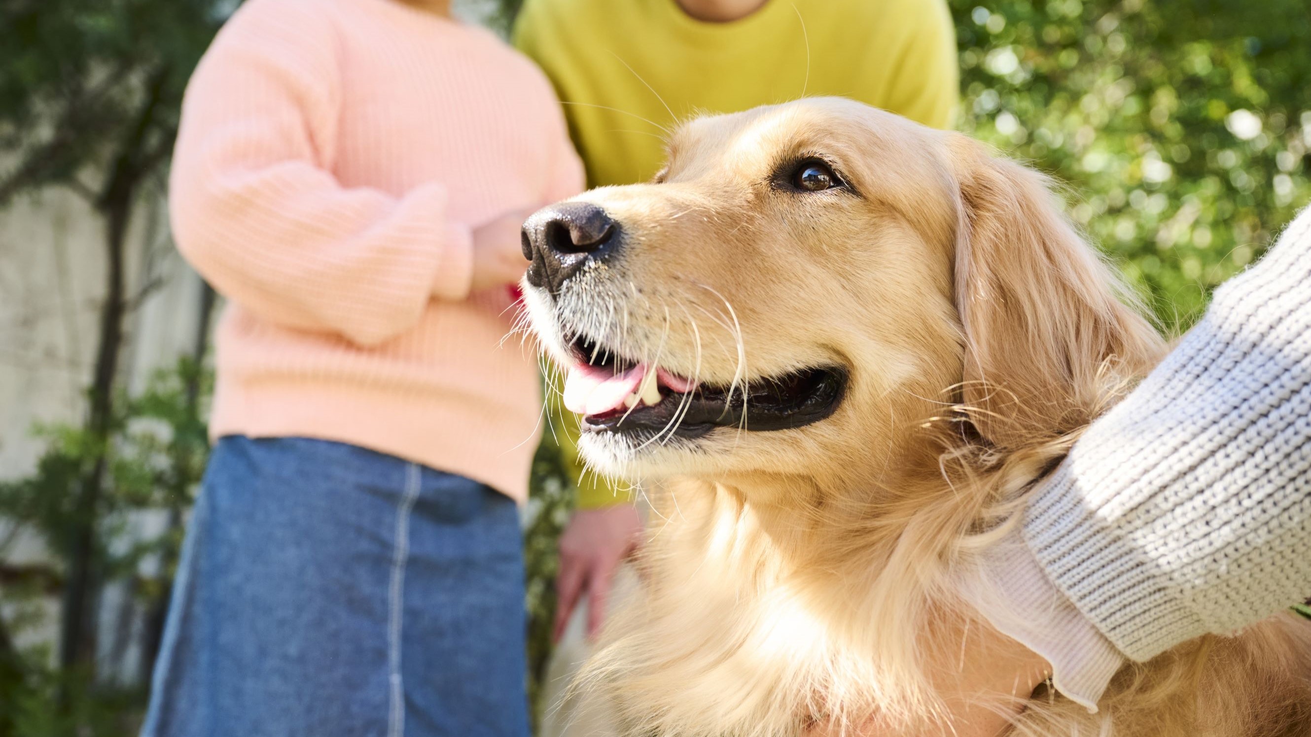 Strengthening Communities Through Animal Health: Boehringer Ingelheim Cares Foundation Provides ...